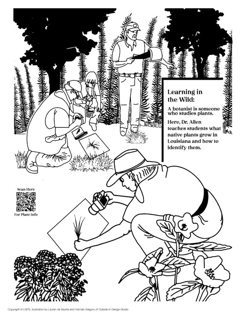 FREE Coloring Pages for Download - Louisiana Native Plant Society