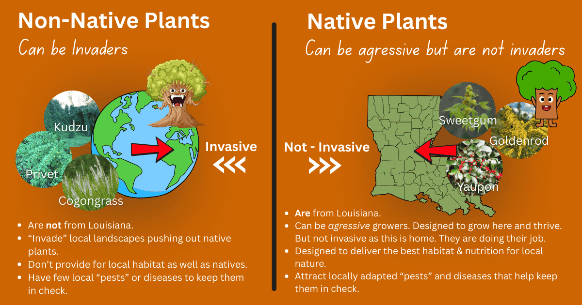 Aggressive Natives Why They Are Not Invasive Louisiana Native Plant